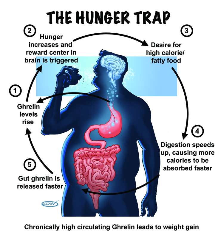 Cohn(an) the Scribarian: The Belly Fat Fix