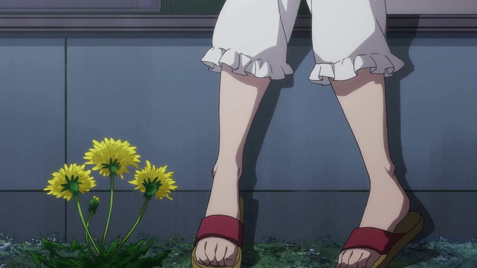 Anime Feet: Sample of My Foot Collection