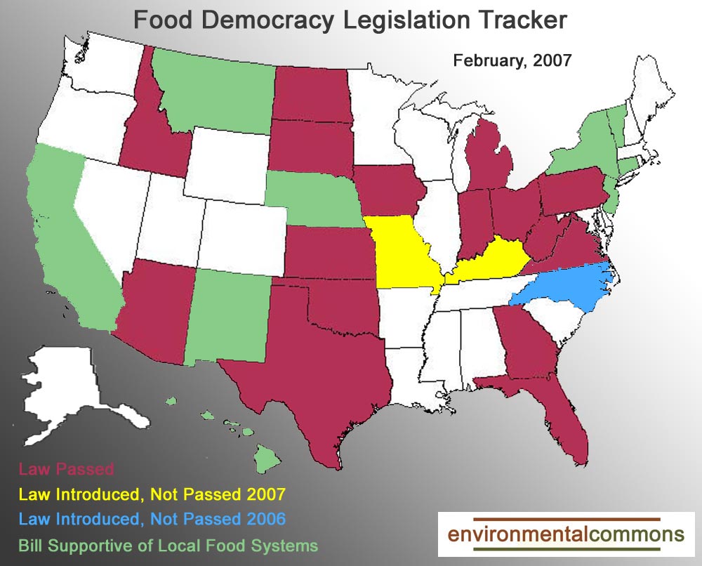 Occupy Tabloids: IS MONSANTO'S GENETICALLY MODIFIED WHEAT GIVING YOU ...