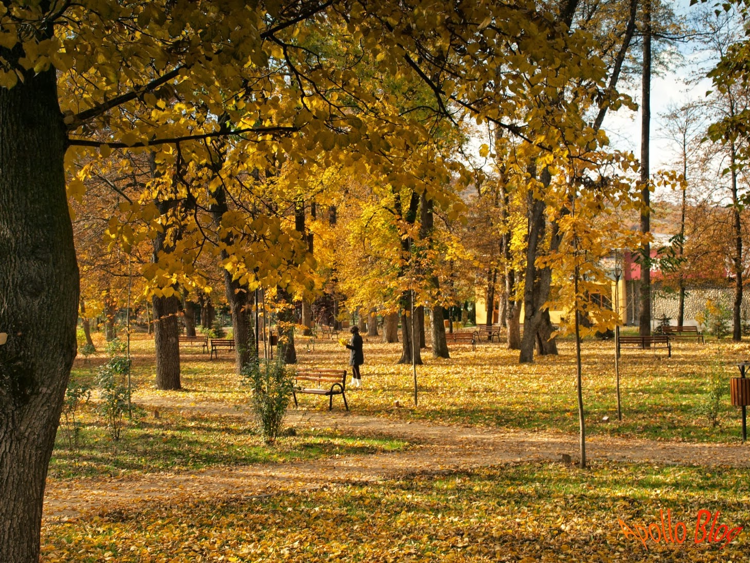 Apollo Blog: Toamna in Harghita