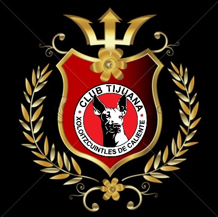 Tijuana FC Wallpapers - Sep