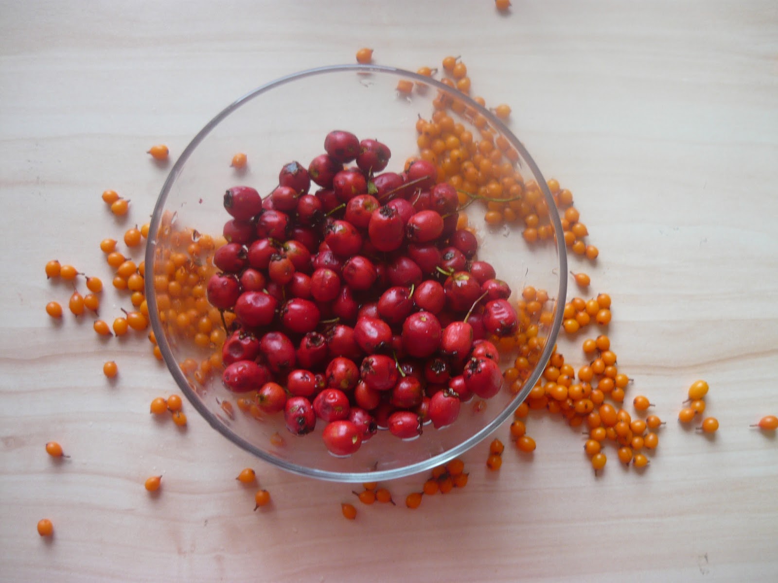 Amy: Fructele toamnei