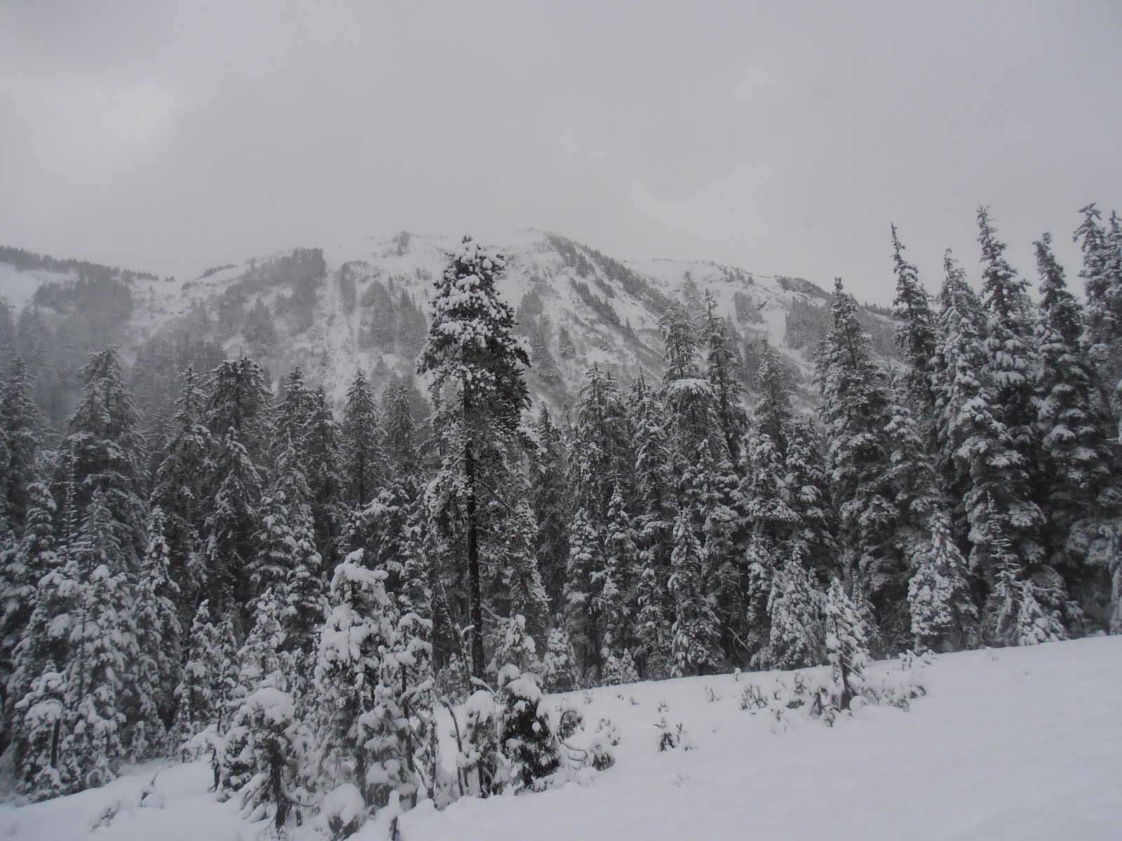 Juneau, AK, The Long Winter: 6 inches of snow in Juneau, AK