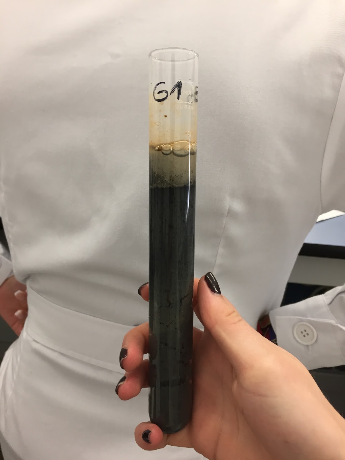 Winoblog: Winogradsky Column After one week (Group A)