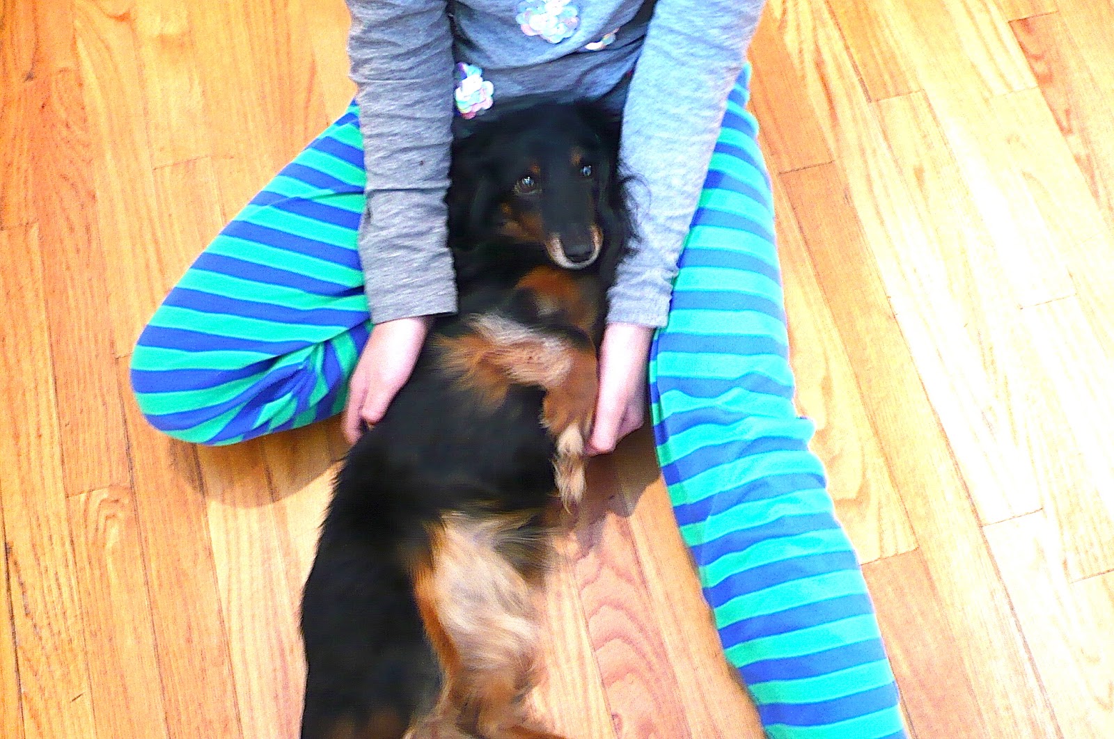 Lucy The Wonder Weenie: Weenie Dogs Can Read, Too!