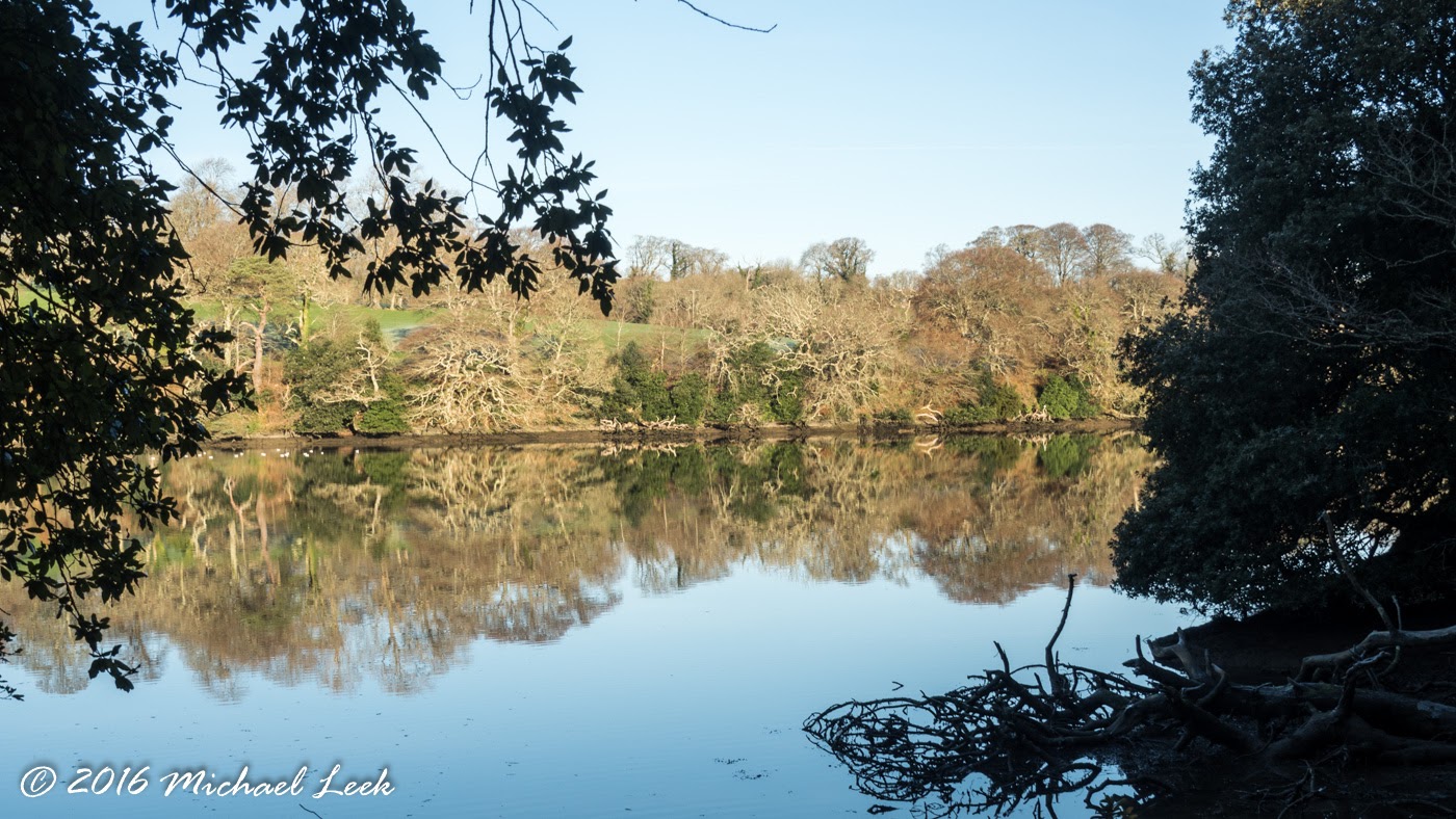 My Dartmoor Walks: Tuesday 3rd January 2017 - A Walk Around Kitley Estate