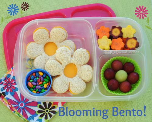 Back to School Bento Basics & Blooming Bento | BentOnBetterLunches