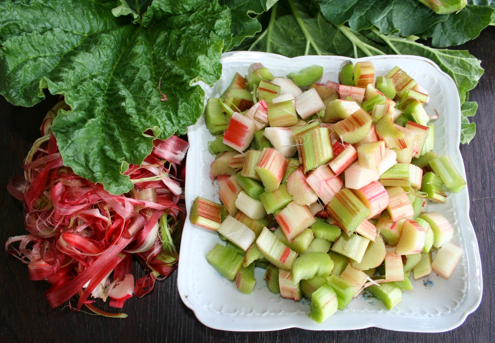 HIŠA Z VRTOM: RABARBARA