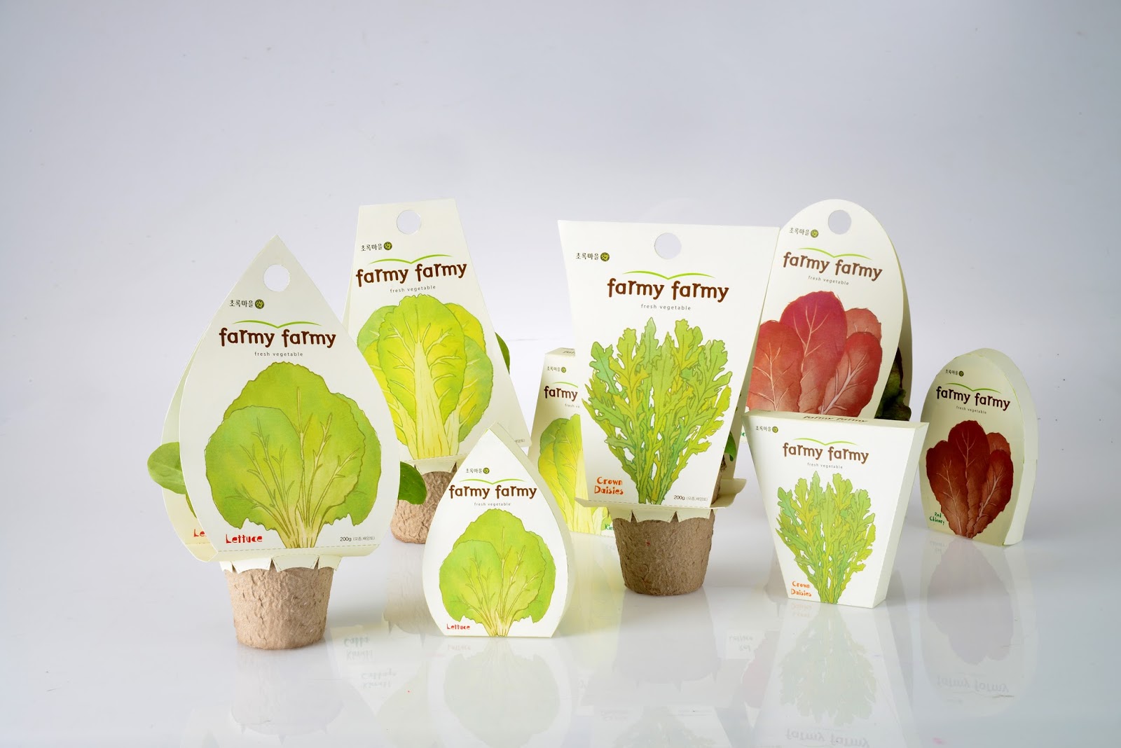 36 Hoseo University Packaging Projects – Packaging Of The World