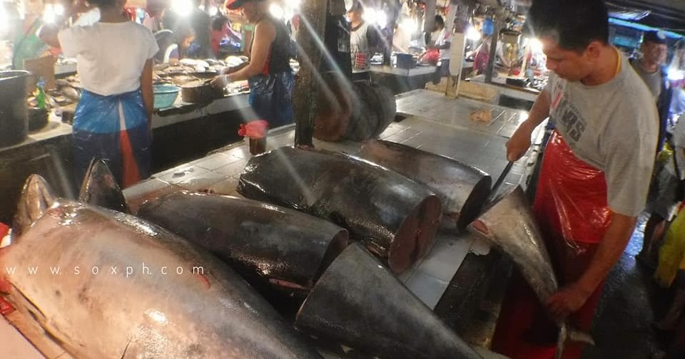 Tuna Pa More at General Santos City Public Market! | SOCCSKSARGEN ...
