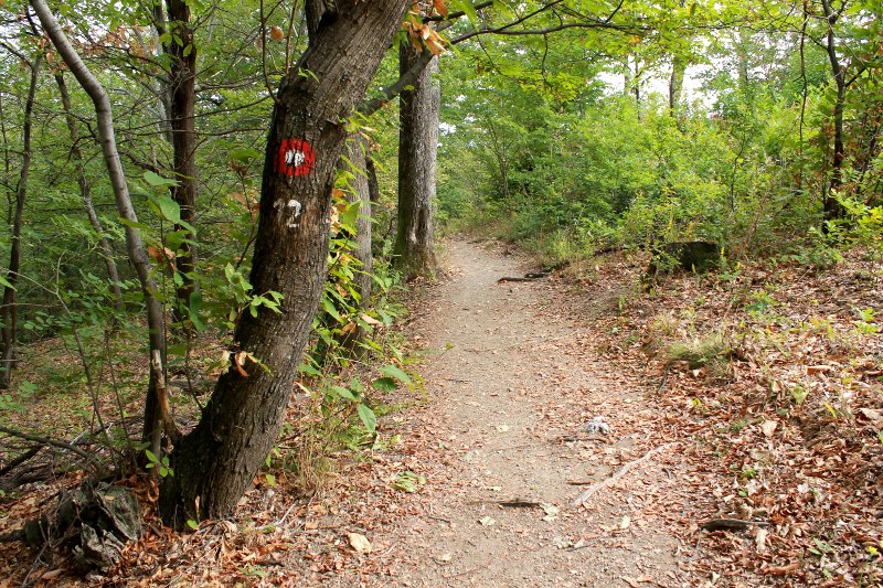 Medvednica.info: Planinarska staza 11/12