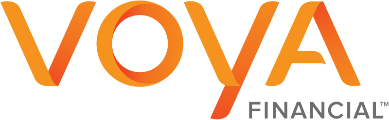 The Branding Source New Logo Voya
