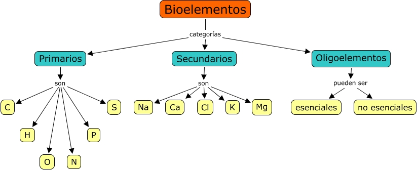 Un Recuento Biologico: BIOMOLECULAS Y BIOELEMENTOS