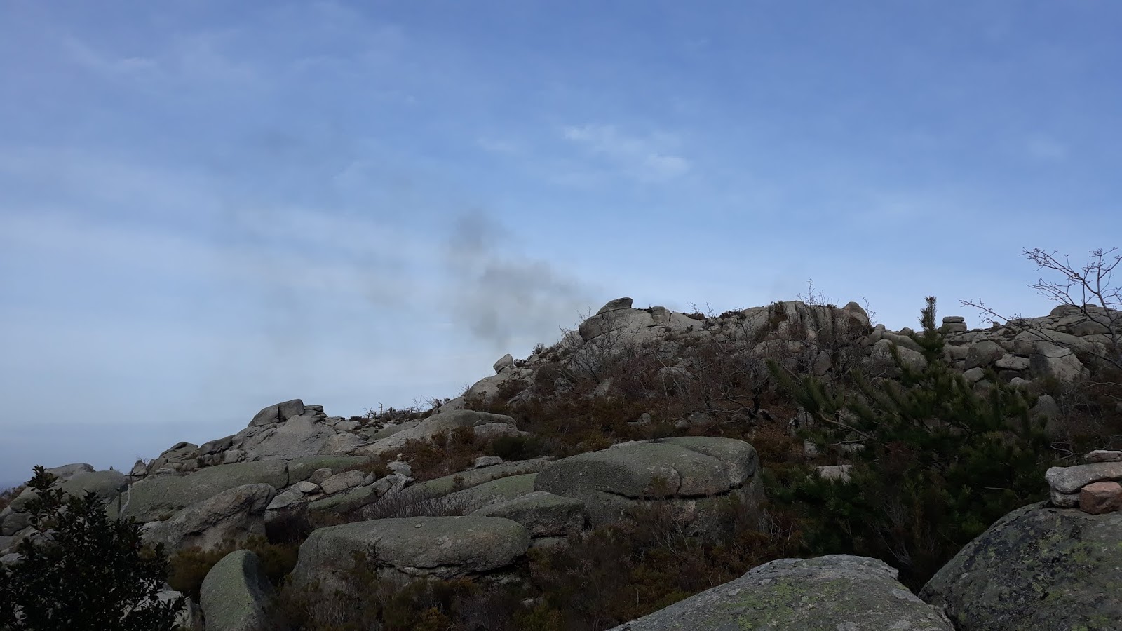 Carris: PNPG realiza queimada controlada