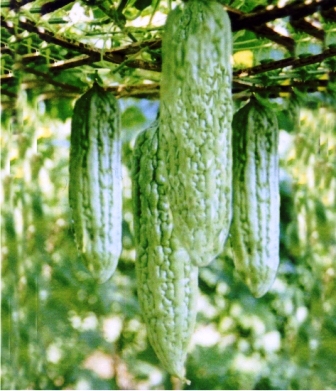 Benefits of Pare | Health is a Beautiful