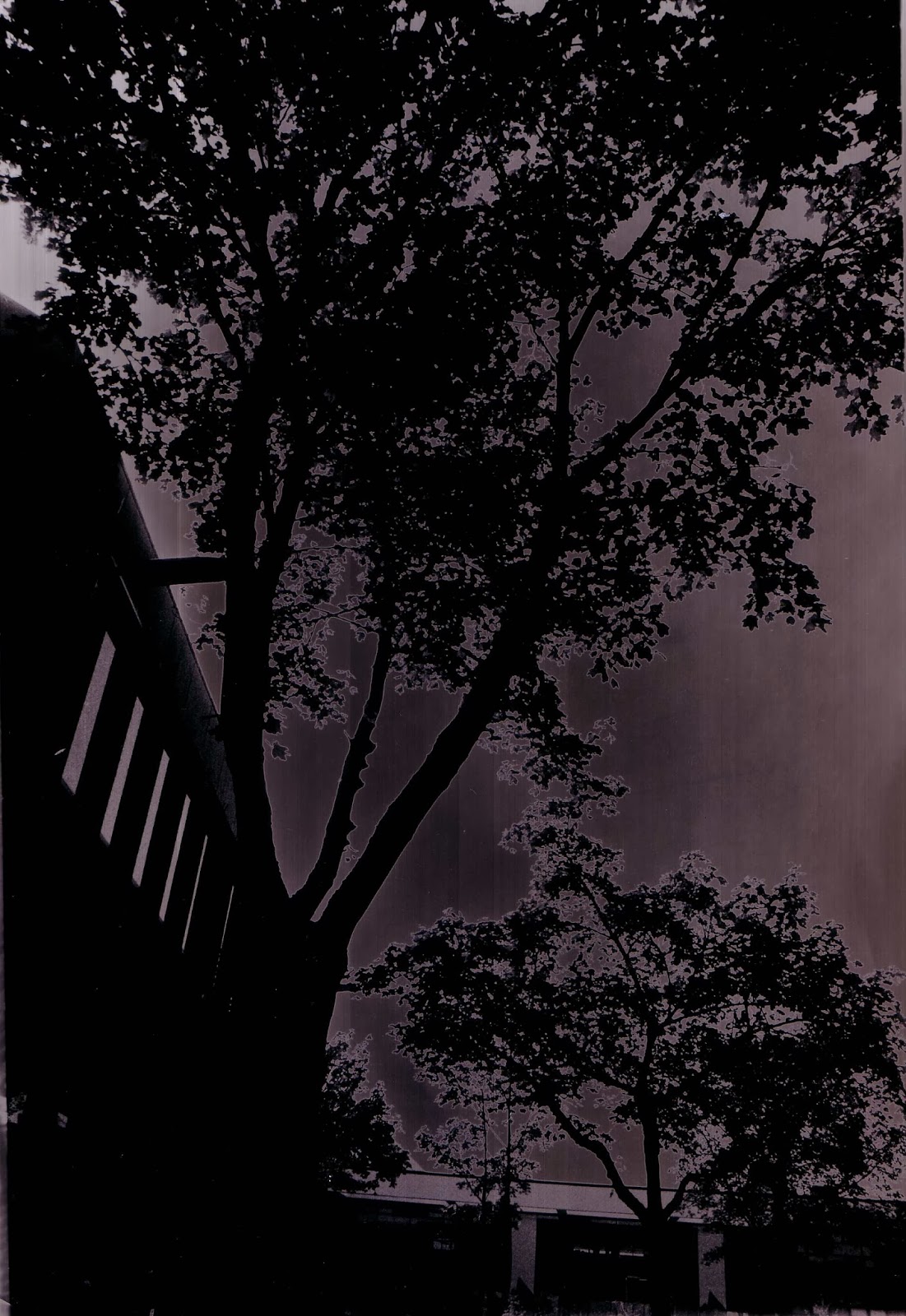 Unit 32 experimental imagery in photography : solarisation