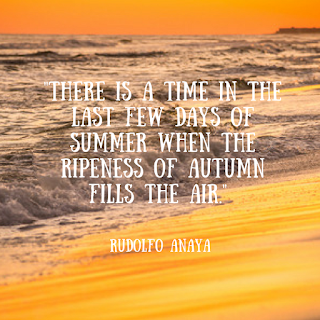 RE/MAX Beaches Blog: 10 Quotes About Why We Love Fall