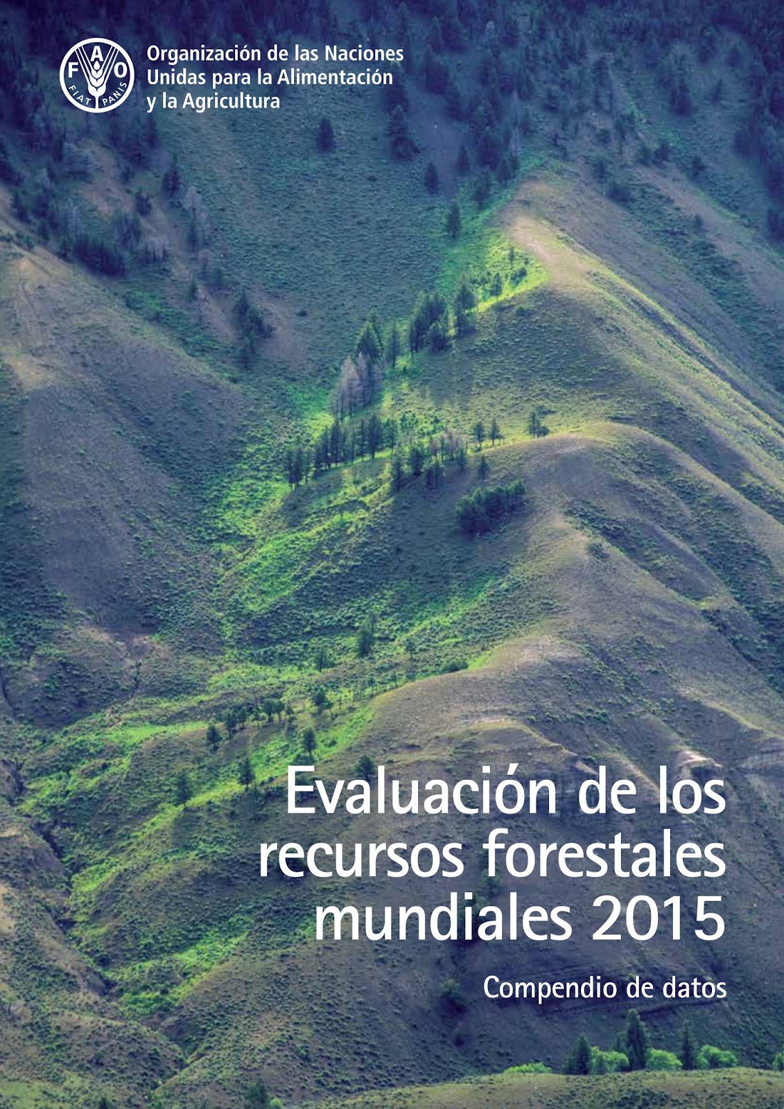 Forestry News