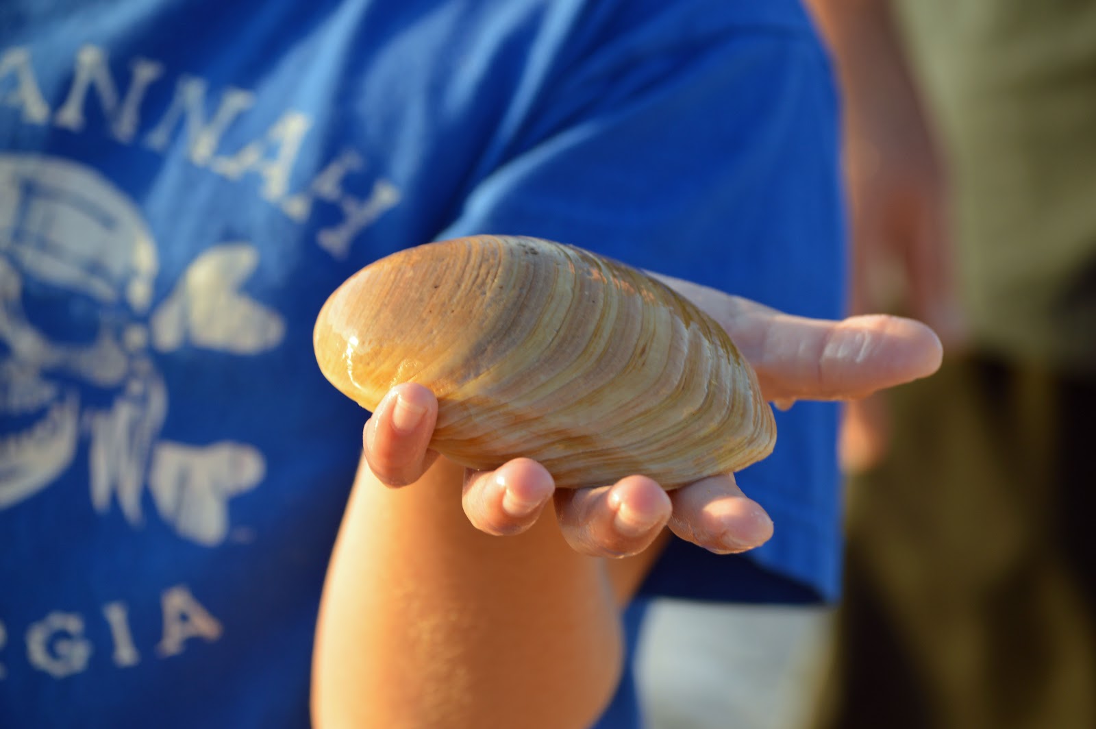It's on the tip of my tongue...: St. George Island, Florida