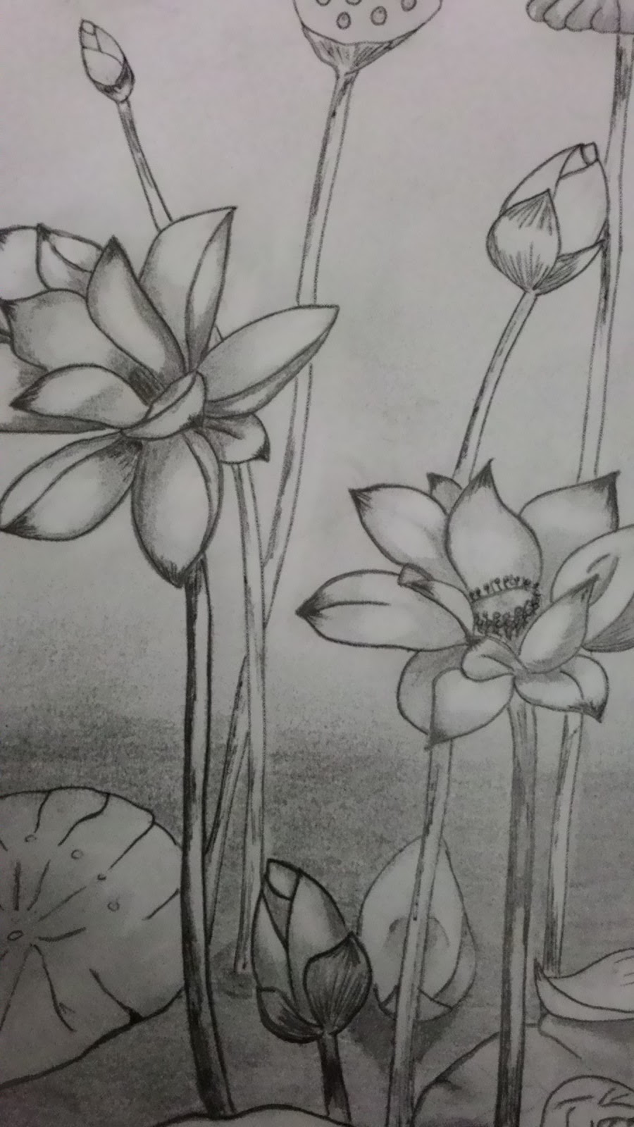 Fantastis 16+ Lukisan Bunga Teratai Di Tasik - Gambar Bunga Indah