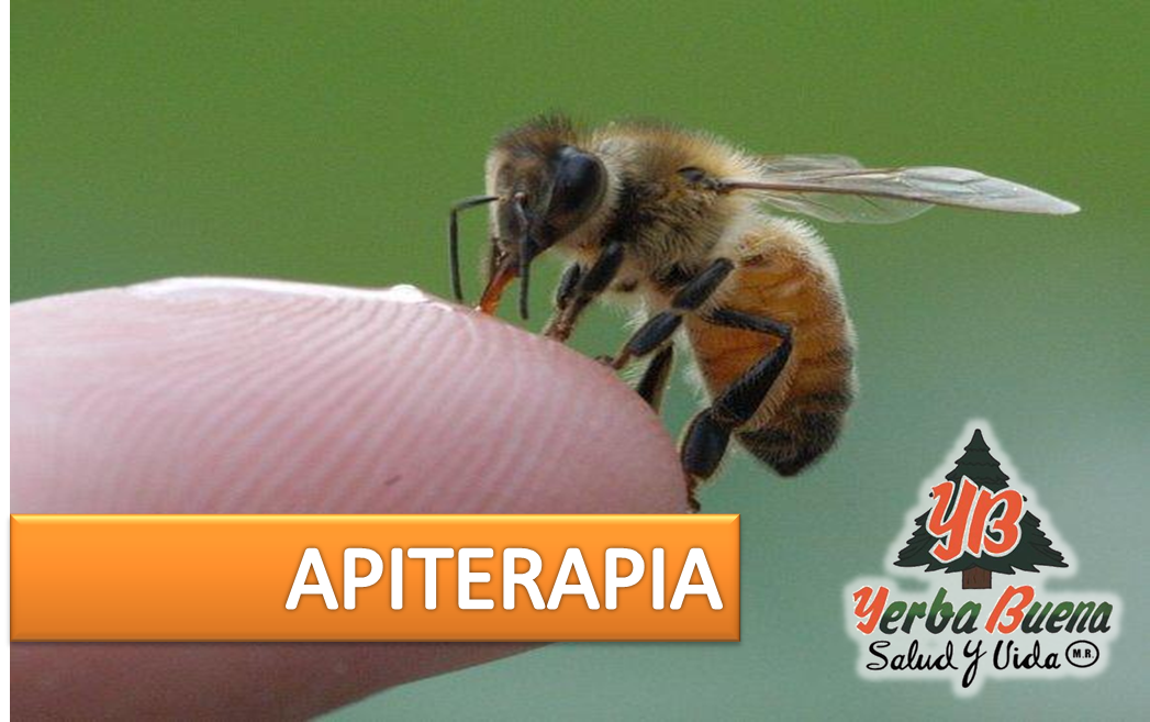 BENEFICIOS DE LA APITERAPIA ~ YerbaBuena