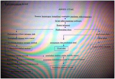 Ners Education: Asuhan Keperawatan Abses Otak