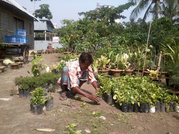 NURSERY AND NURSERY MANAGEMENT: Components