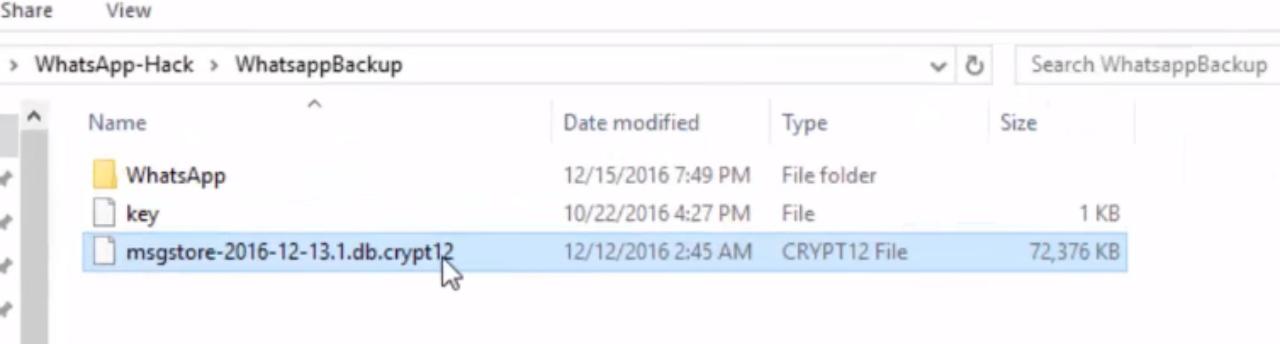 Whatsapp Ke Database Decrypt Kar Personal Data Ko Kaise Dekh