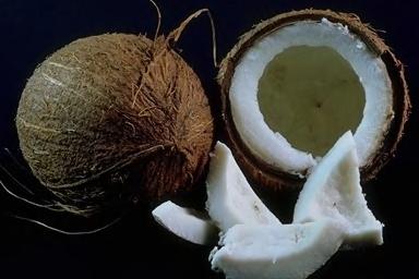 Informacion Salud y Cuidado Personal: El coco y una de sus propiedes
