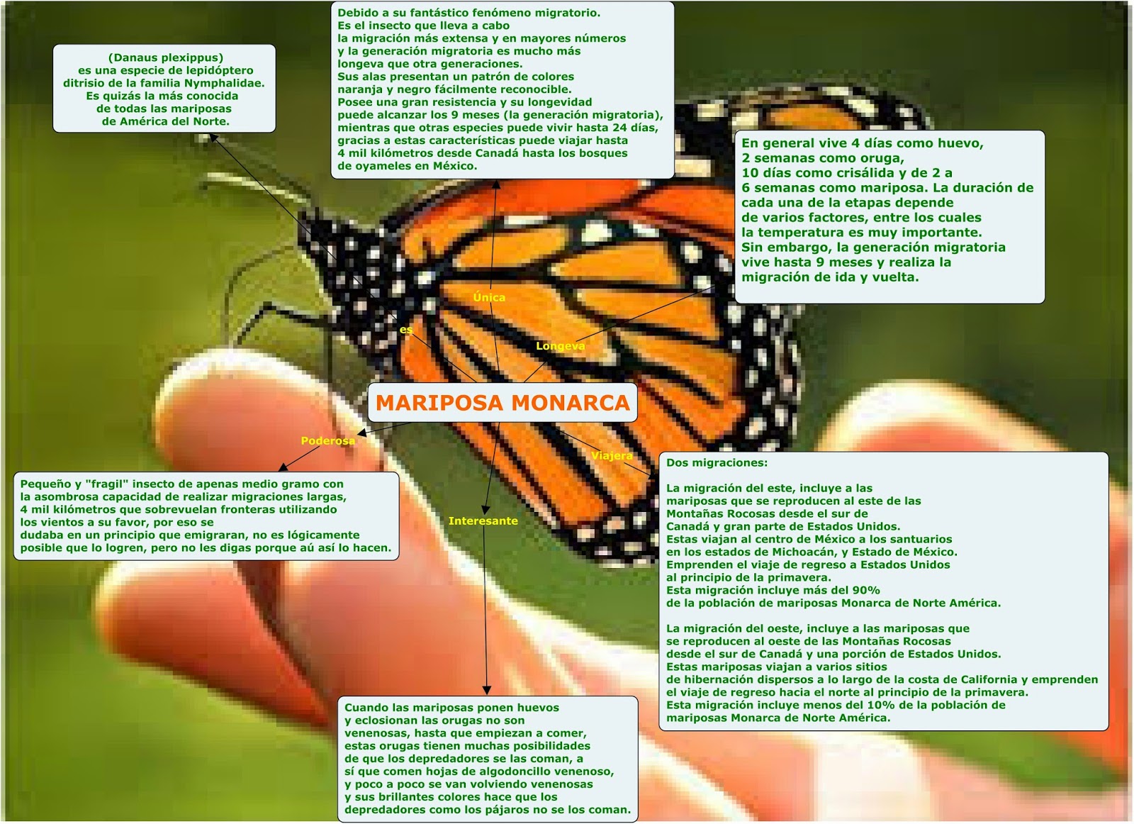 Escuela Mariano Jiménez: 2015