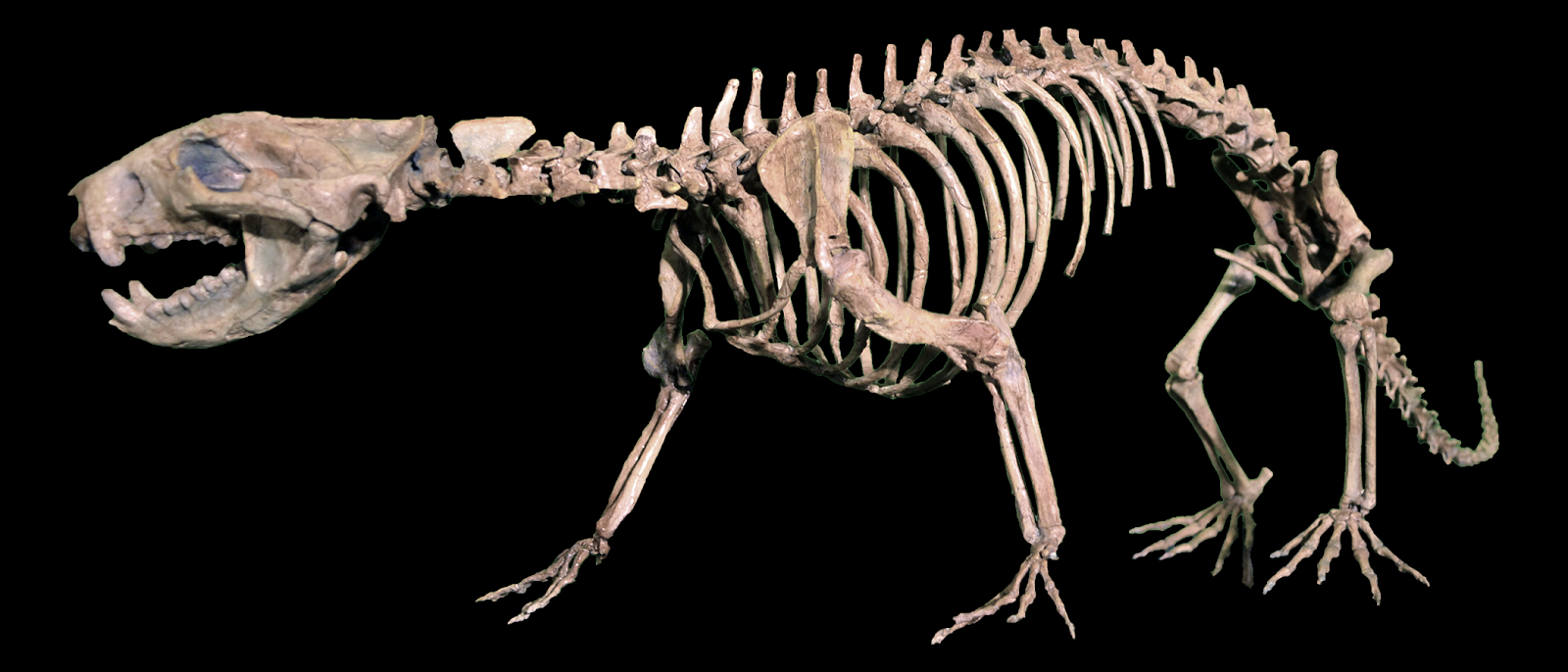 The Expeditioner's Discovery Guild: A little bit of Everything: Museums ...