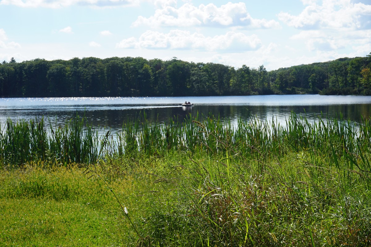 Harriman Hiker: Harriman State Park and Beyond: Pine Swamp Mine Loop