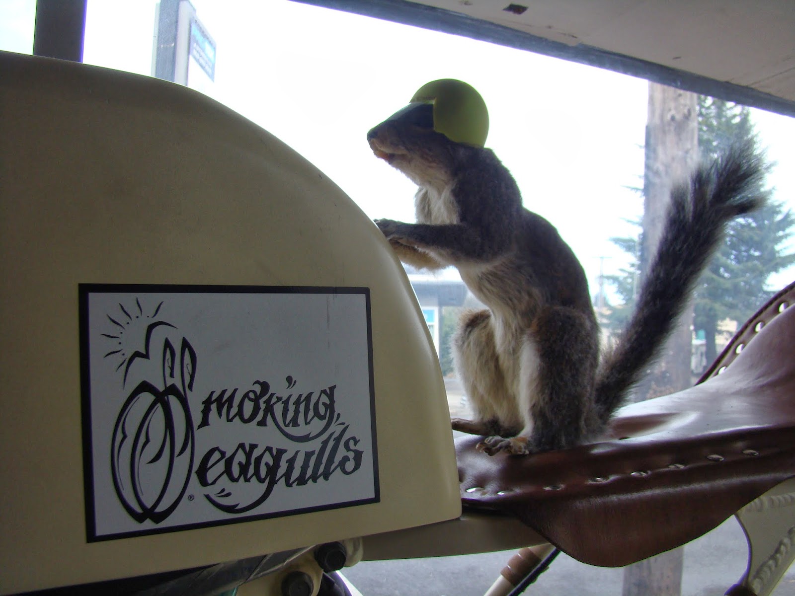 The World of JEK: See See Motor Coffee Co. Motorcycle Coffee Shop in ...