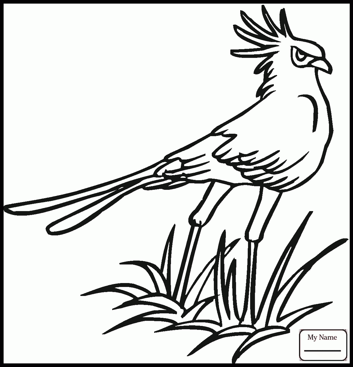 secretary birds coloring pages - jiahajava
