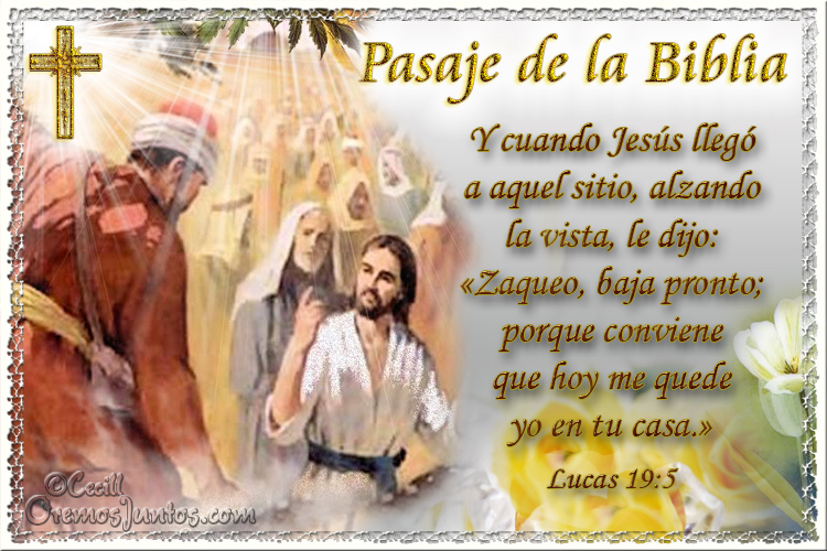 Vidas Santas: Santo Evangelio según san Lucas 19:5