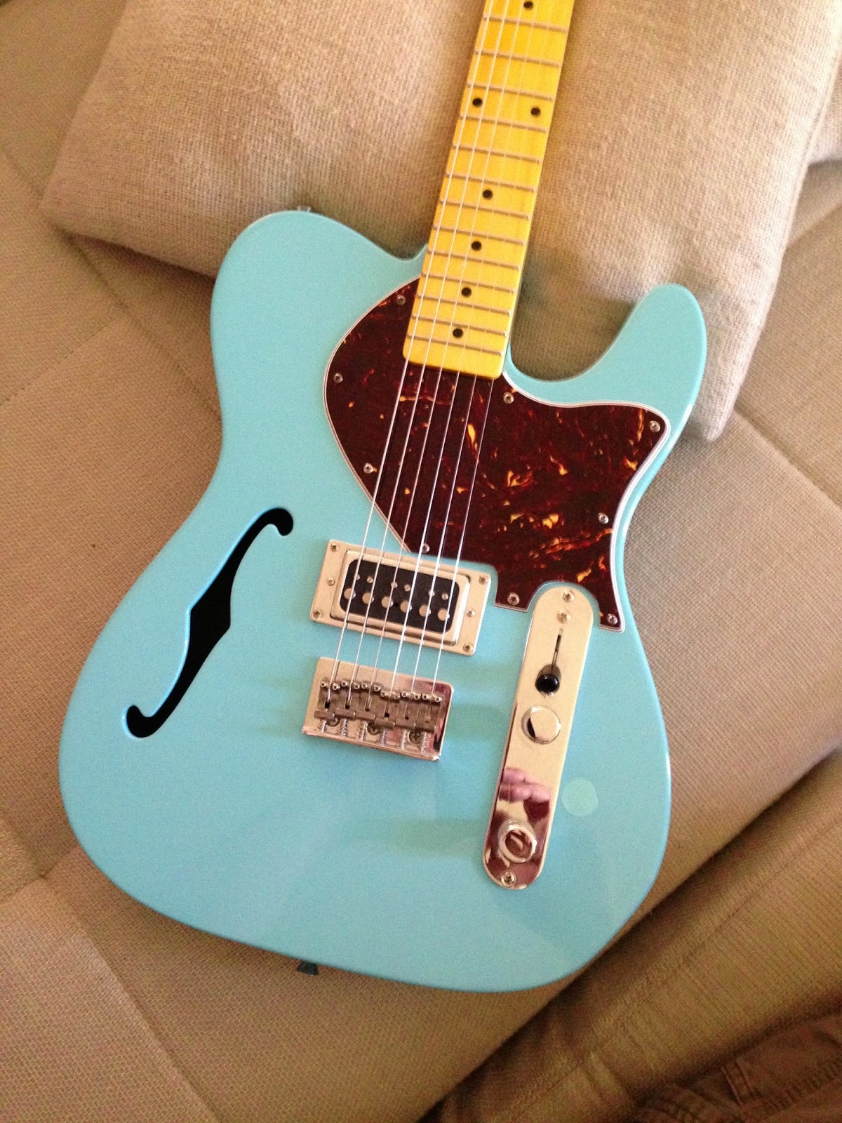 I thought I was a rational guy, until... tortoise-shell | Page 2 | The ...