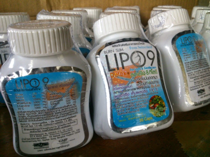 INFO MENGENAI LIPO 9