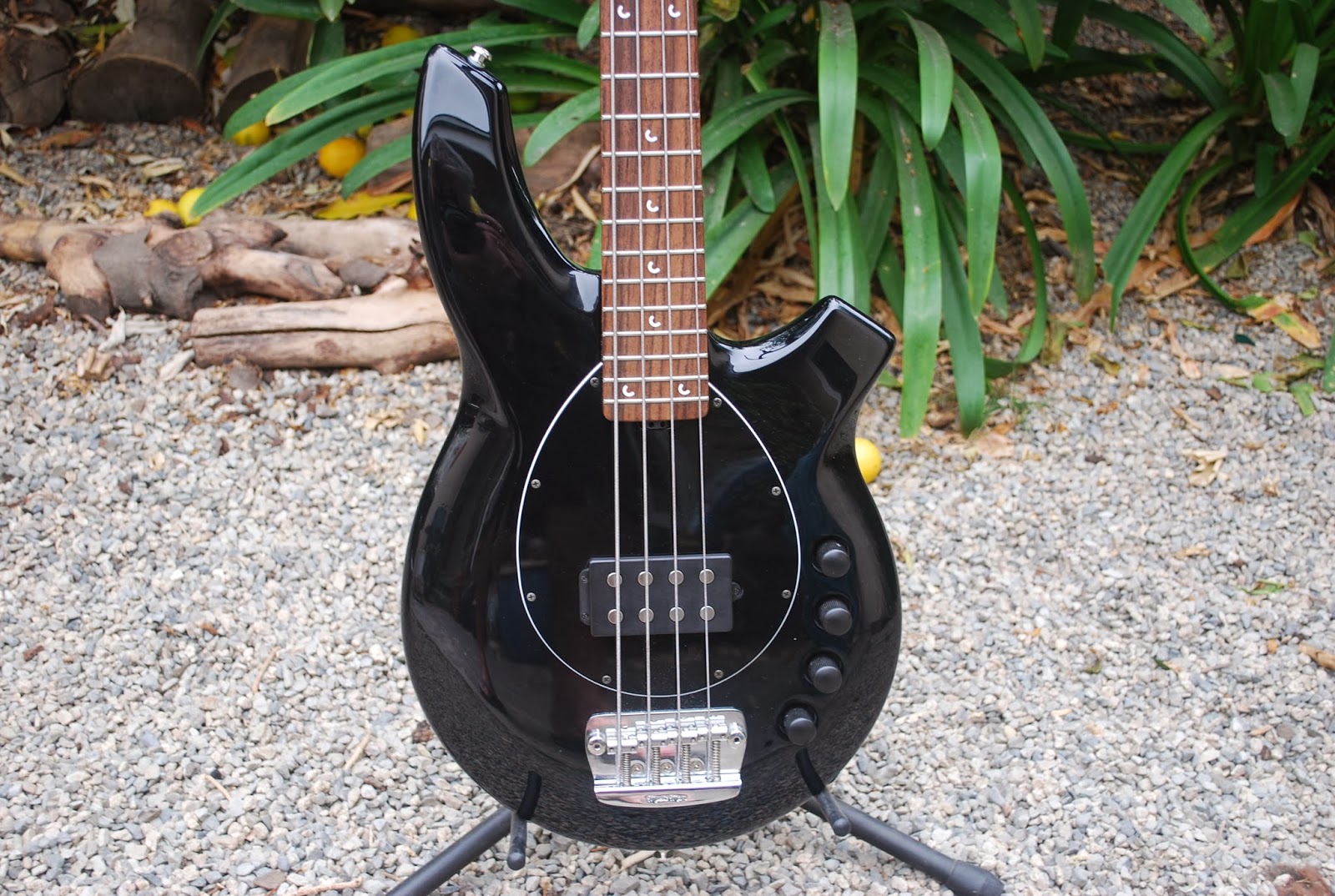 Rex and the Bass: 2012 Ernie Ball Music Man Bongo 4H Bass Guitar Review