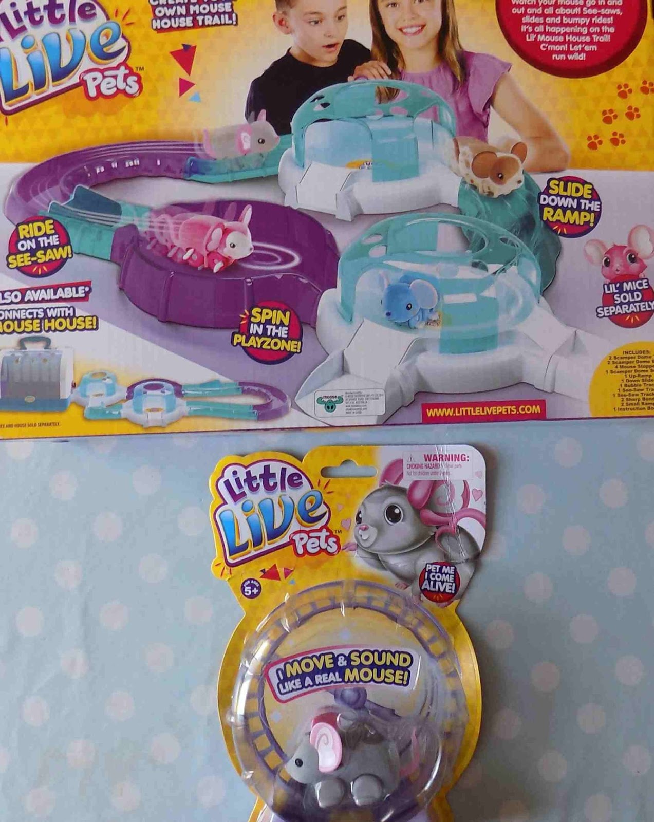 Madhouse Family Reviews: There's a (Little Live Pets) Mouse in the (Mad ...