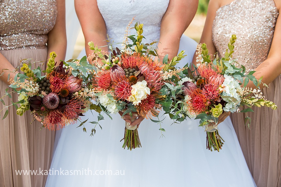 Swallows Nest Farm: testimonials