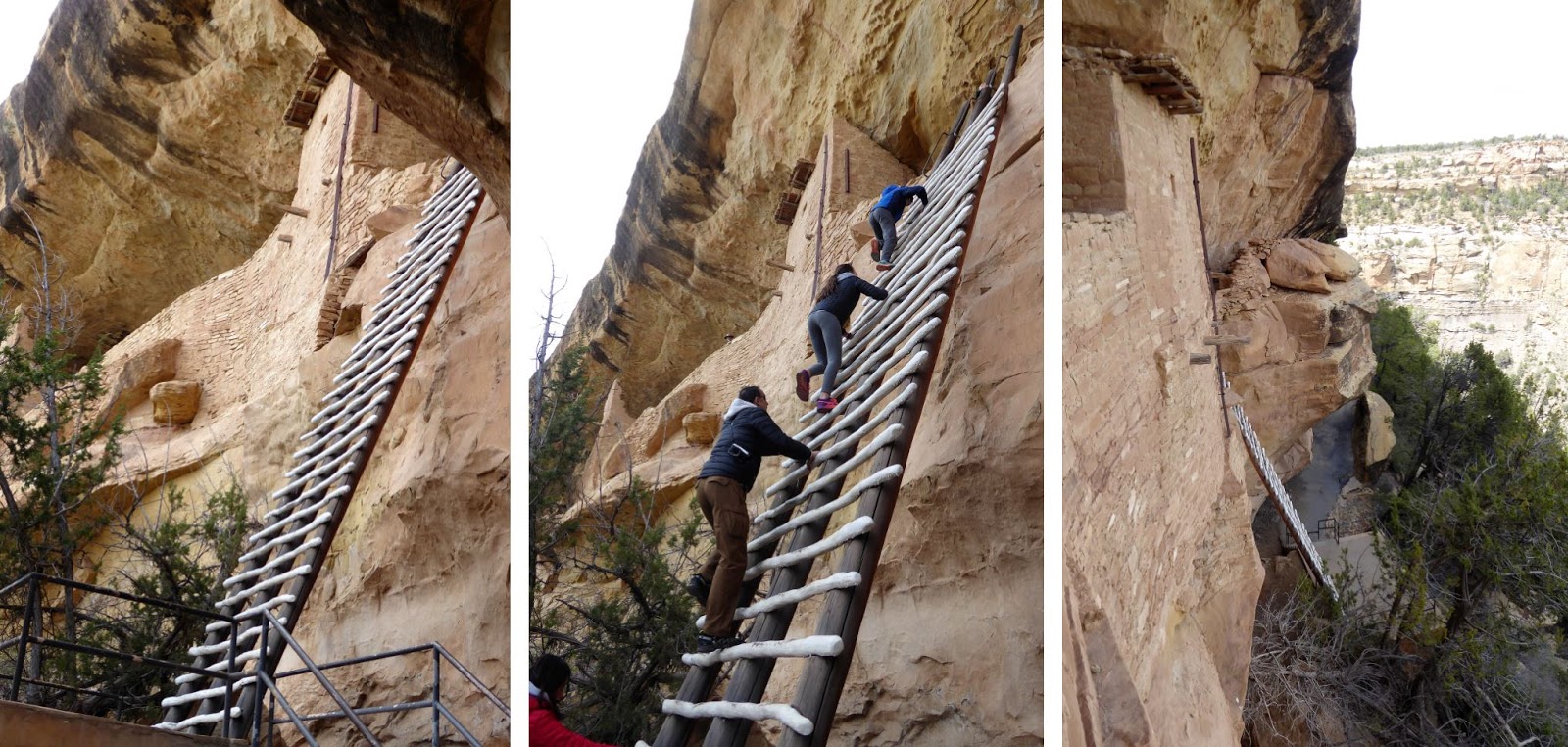 Go Around the Bend: Ancient Cliff Dwellings and More Effing LADDERS!