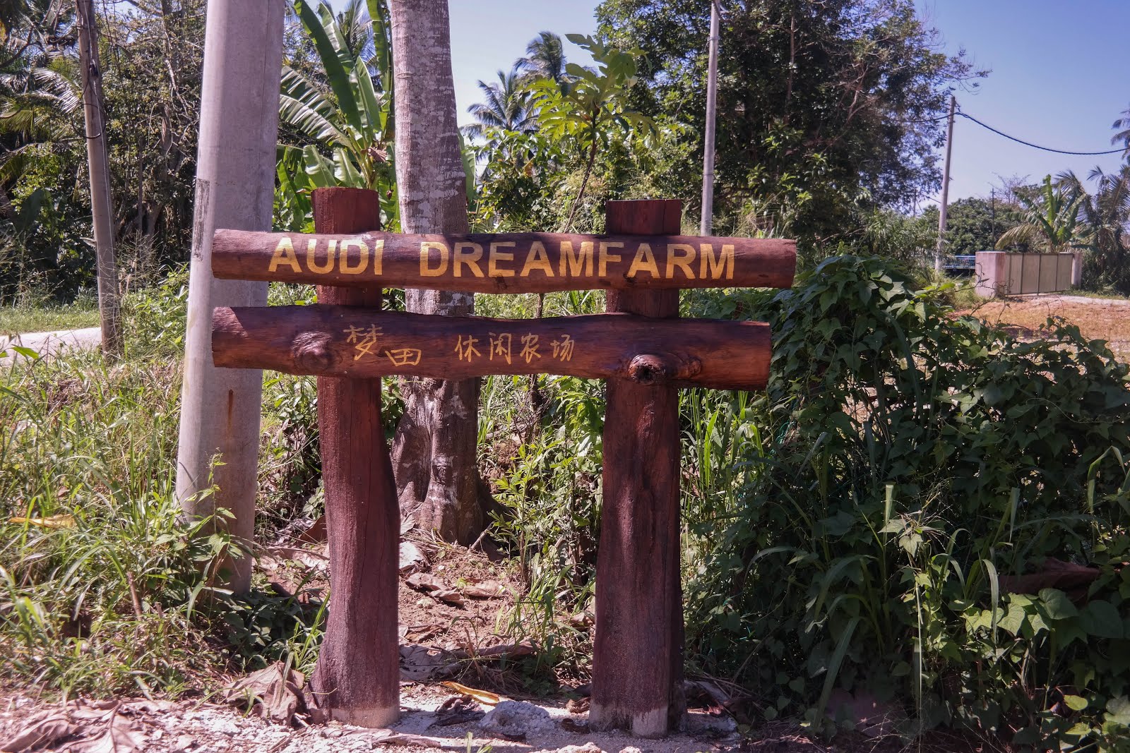 Unique & Original: ♡ Penang Island ♡ Audi Dream Farm