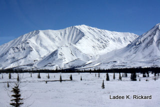 Ladee's Travels: Alaska - Summit of the Continental Divide