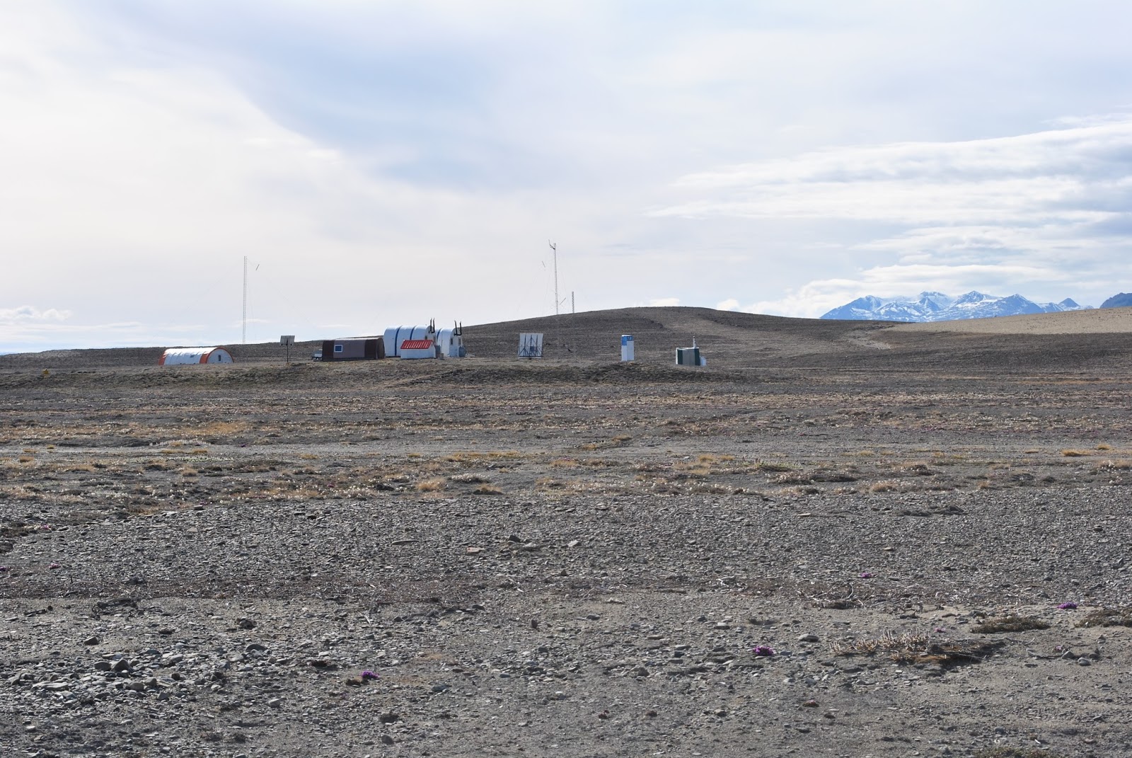 Plant Phenology: Happy to be back at Camp Hazen
