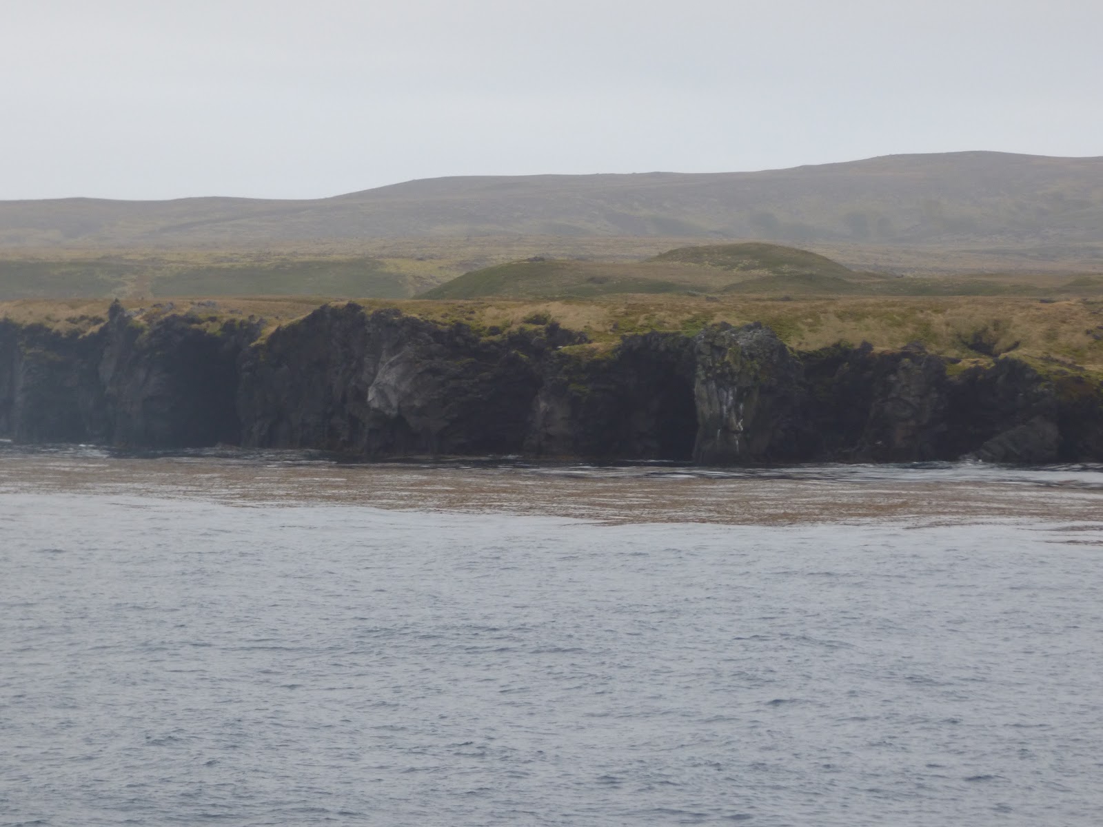 Marion Island Picture Gallery: Marion Coastline