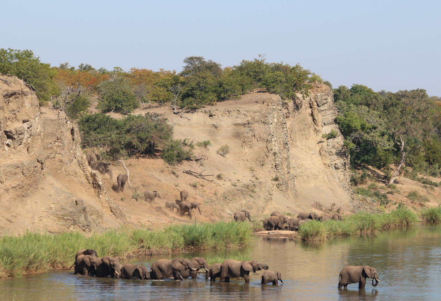 66 Square Feet (Plus): The bridge over the Letaba River