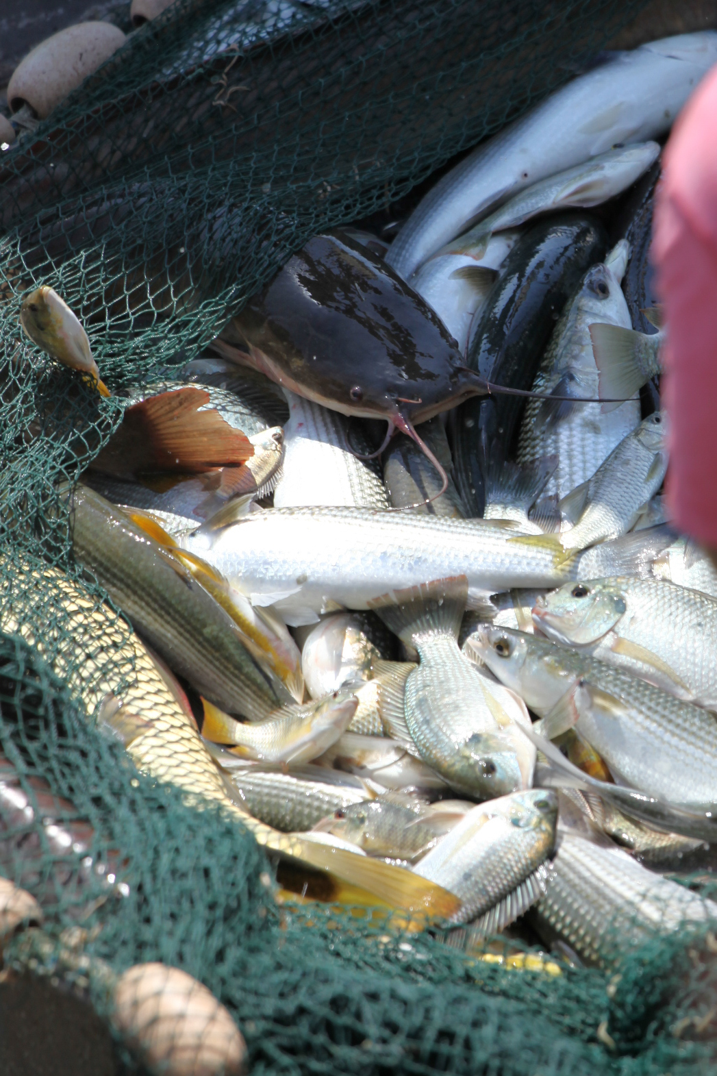 聖經考古: 九月 2013