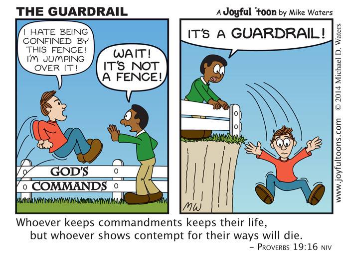 The ANVIL Newsletter: Fence vs Guardrail