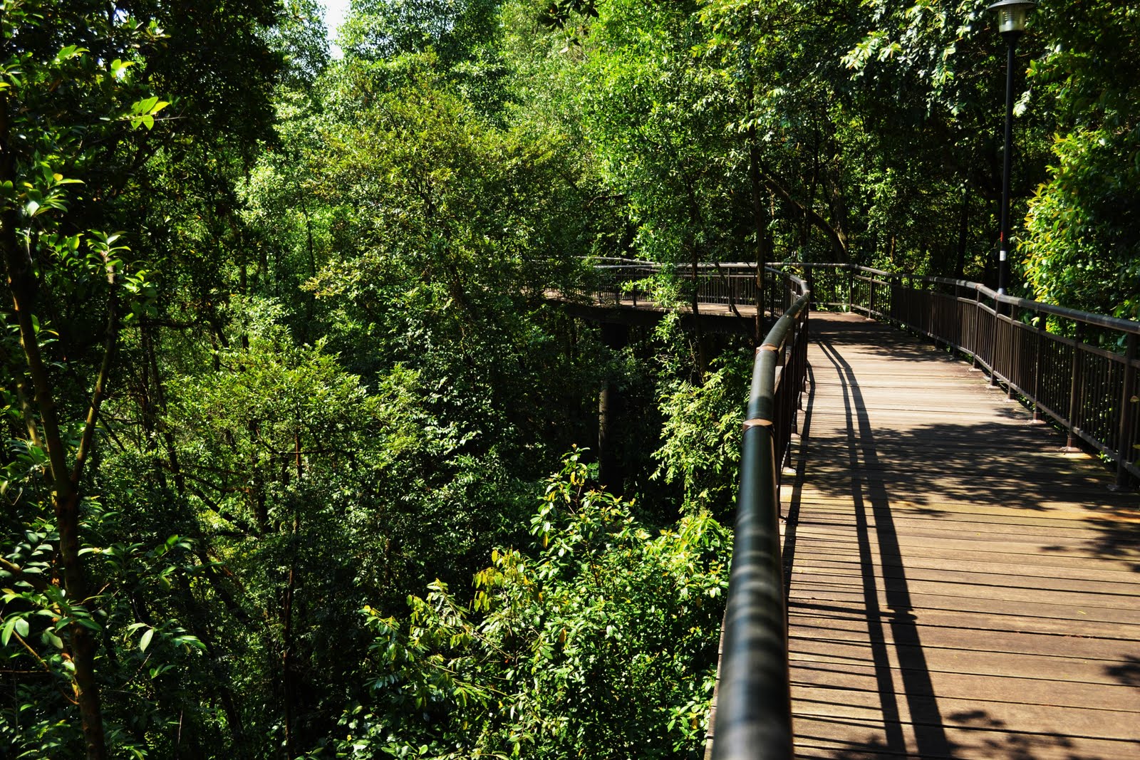 Photography & Me: Kent Ridge Park