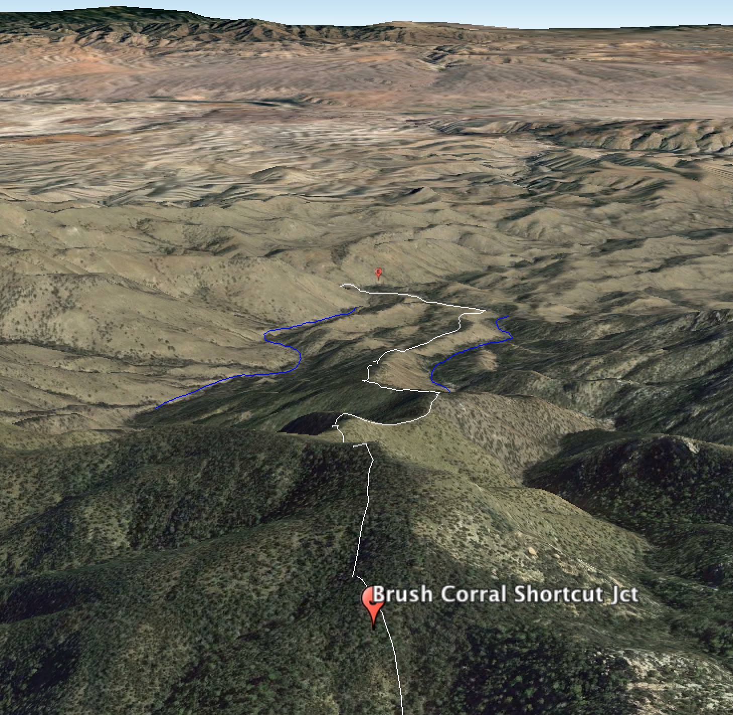 Madrone runner: Evans Mountain "Trail" Boondoggle (December 2016)